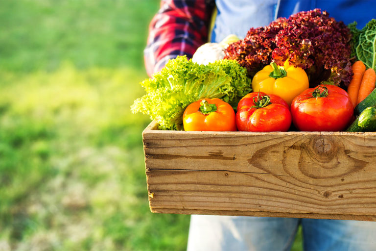 About - Rogue Produce