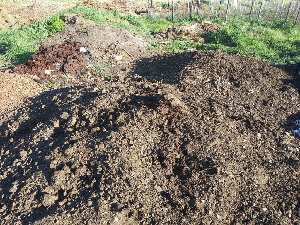 The Toil for Healthy Soil - Rogue Produce