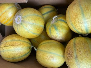 Online Farmers Market | Rogue Produce